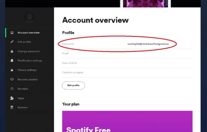 How to Change Your Spotify Username: Full Guide